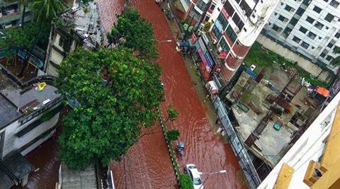 Dhaka’s streets ran red with blood on Eid: Here’s why | Trending News ...