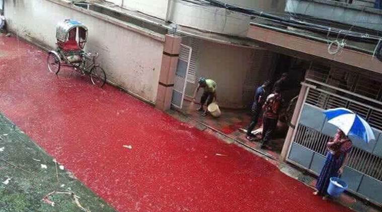 Dhaka’s streets ran red with blood on Eid: Here’s why | Trending News ...