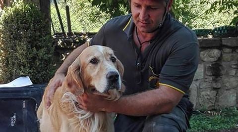 Dog called Romeo rescued from rubble 10 days after Italy earthquake ...