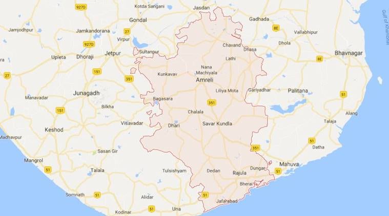 Gujarat elections: In Patidar-dominated Amreli, farm issues take centre ...