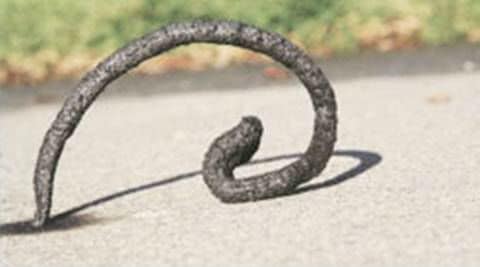 Snake tablet emits highest amount of PM 2.5 in popular firecrackers ...