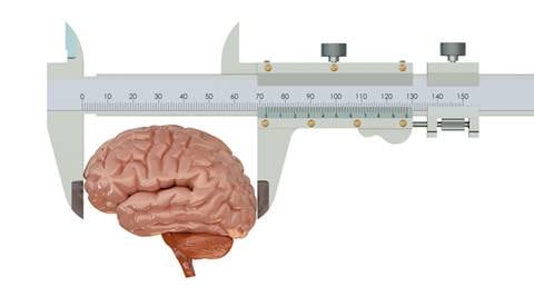 Brain shape can predict personality traits, say researchers | Health ...