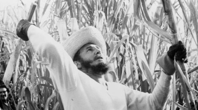 The 10 things you did not know about Fidel Castro | Blogs News - The ...