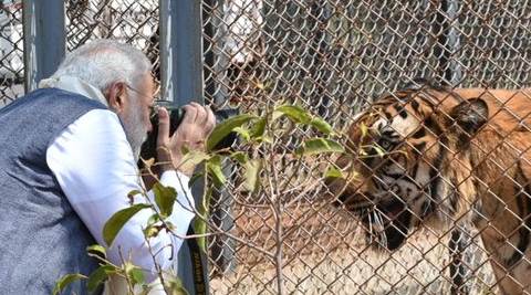 Chhattisgarh: PM Narendra Modi turns photographer during jungle safari ...