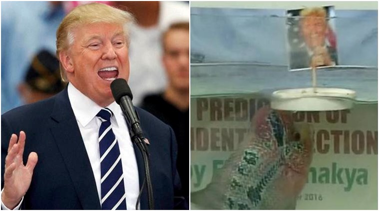 Chanakya, the fish got it right! Donald Trump becomes the 45th US ...