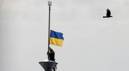 Ukraine National Bird