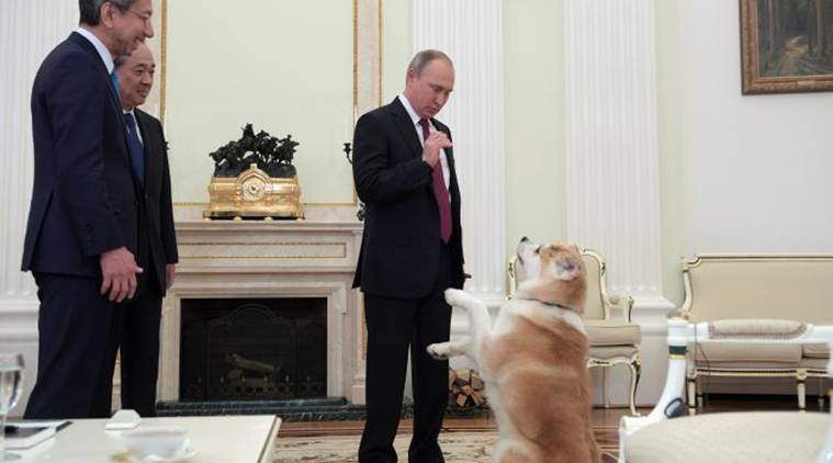 Vladimir Putin’s barking dog take centre stage at media interview ...