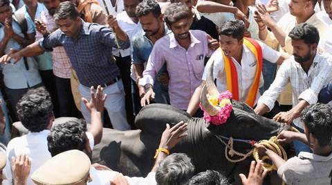 Pondicherry Assembly Speaker calls for conducting Jallikattu | India ...