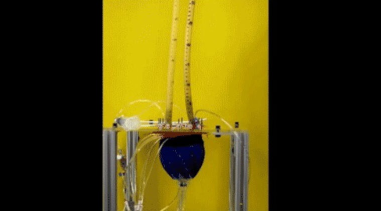 New soft robot can keep your heart beating | Technology News - The ...