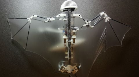 Meet Bat Bot, the new flying batlike drone | Technology News - The ...