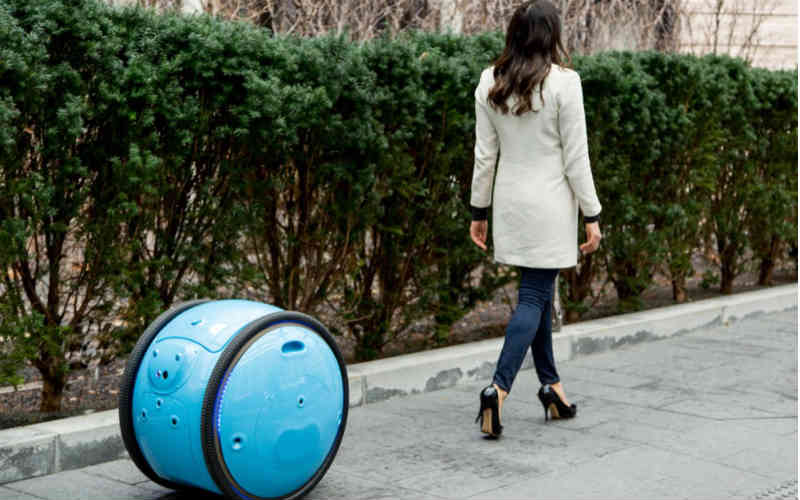 Meet Gita, the bot that will carry your luggage for you | Technology ...