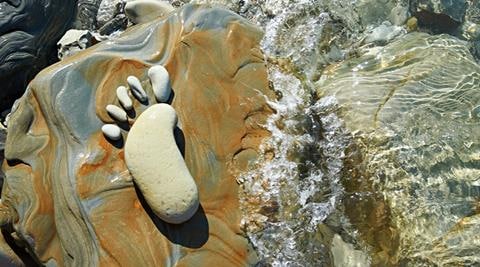 How humans got their walk decoded | Health News - The Indian Express