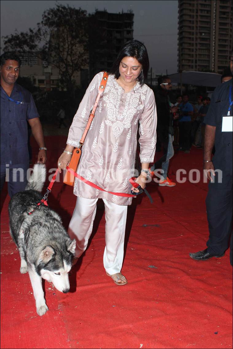 Sidharth Malhotra attends dog show, Aftab Shivdesani walks the ramp ...