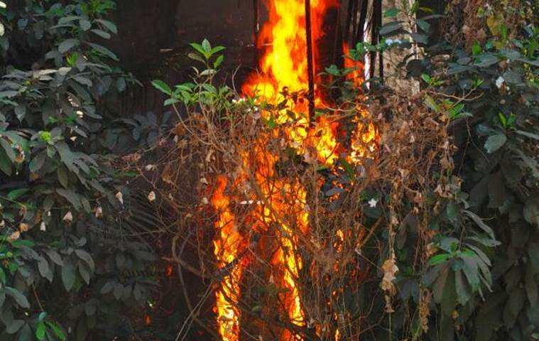 Fire breaks out in Bihar’s Champaran; 500 huts gutted | India News ...