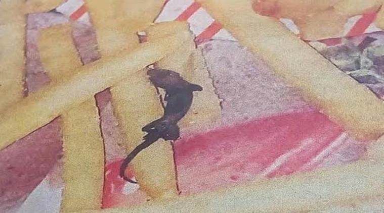 Dead lizard found with french fries at McDonald’s will surely make you ...