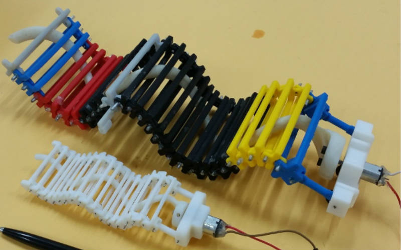 Scientists develop ingestible 3D printed robotic snake | Technology ...