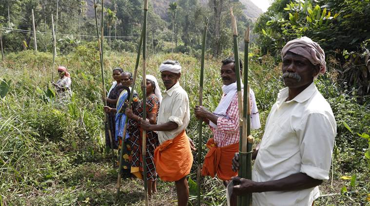 A king and his tribe: How the Mannans of Kerala are struggling to ...