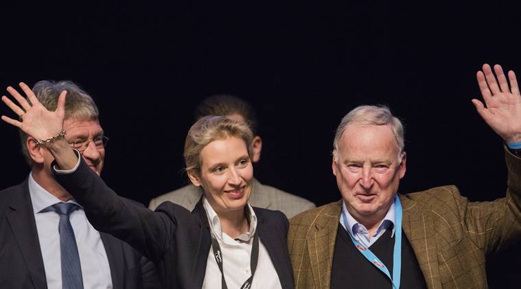 German nationalists elect top duo for general election | World News ...