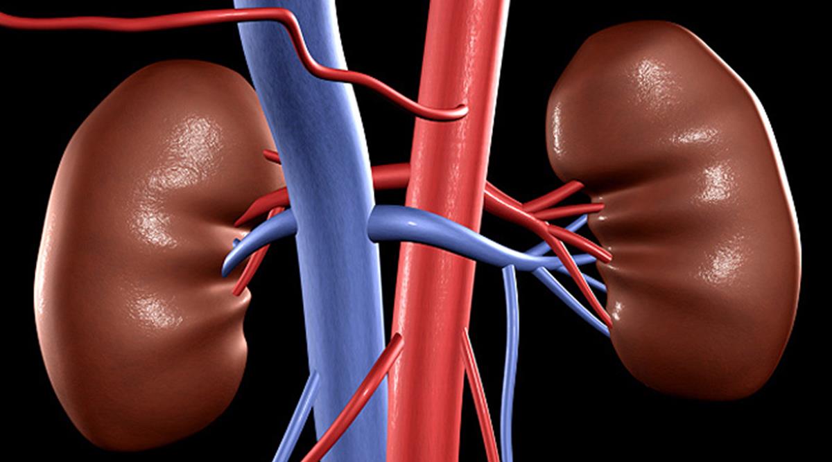 First robotic kidney transplant performed in Maharashtra | Health News ...