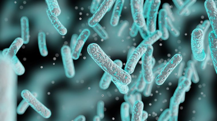 New way to fight harmful bacteria found | Health News - The Indian Express