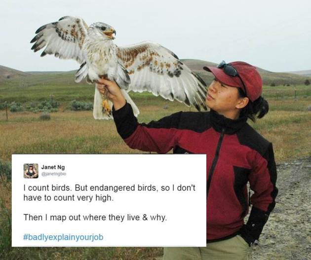 The witty Twitter trend of people badly explaining their jobs is ...