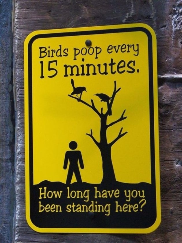 23 funny zoo signboards that will leave you ROFL-ing! | Trending ...