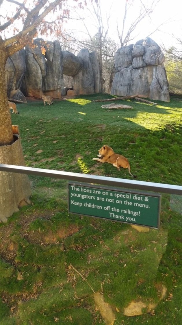 23 funny zoo signboards that will leave you ROFL-ing! | Trending ...