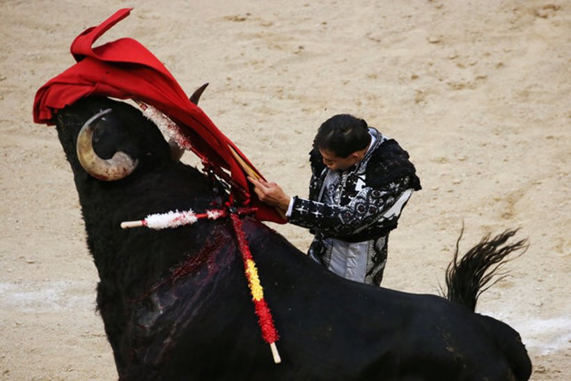 Spectacular photos of Spain’s ongoing bullfighting festival | Lifestyle ...