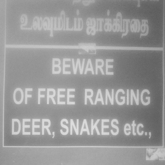 23 funny zoo signboards that will leave you ROFL-ing! | Trending ...
