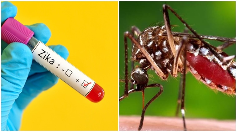 The sting of Zika | The Indian Express