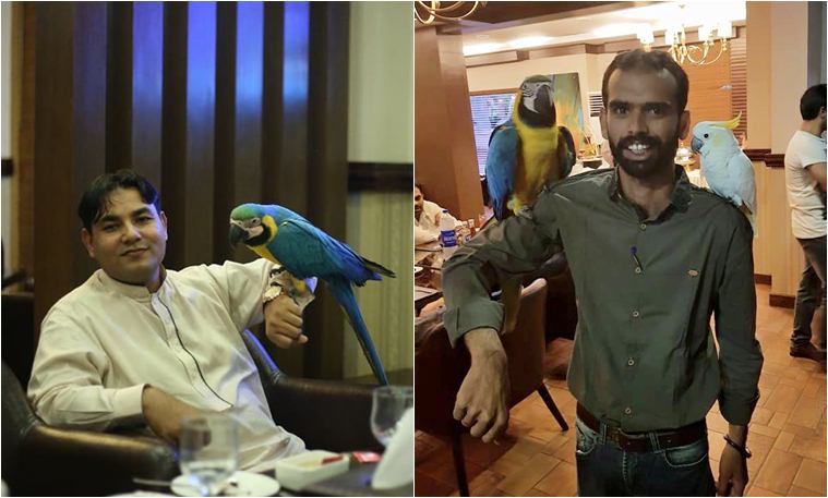 Café Macaw: This unique Pakistan restaurant lets you share a meal with ...