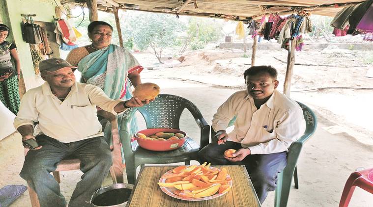 A mango revolution under way in Nashik’s tribal belt | Mumbai News ...