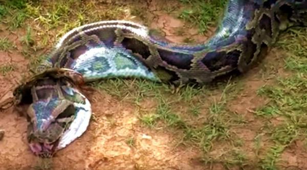 Viral Videos Trending - Page 105 | Viral Videos: Latest Trending Videos ...