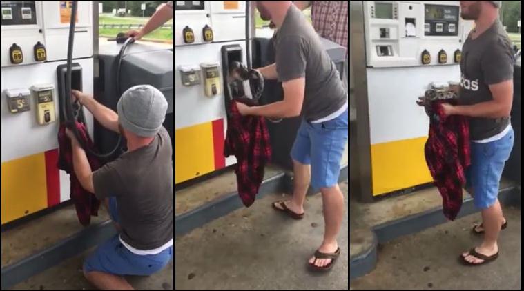 VIDEO: Shocking! US couple discover a huge snake coiled up inside a ...