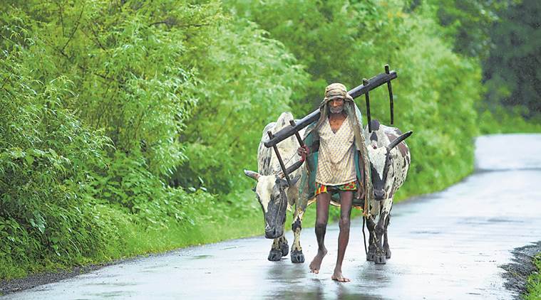 Swaminathan panel formula not suitable for Maharashtra, says govt ...