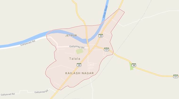 Committee orders revocation of Talala forester’s suspension | Ahmedabad ...