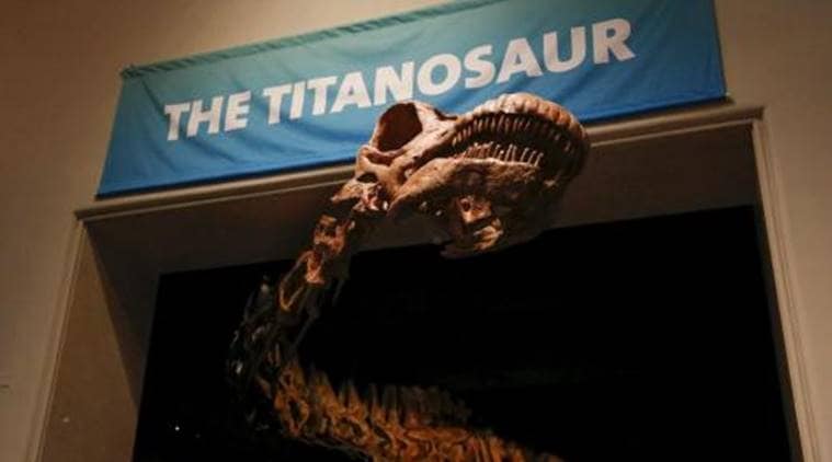 New species of gigantic, long necked dinosaurs found | World News - The ...