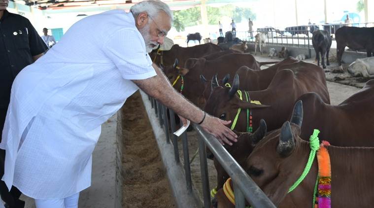 PM Narendra Modi in Varanasi Day 2 Live Updates