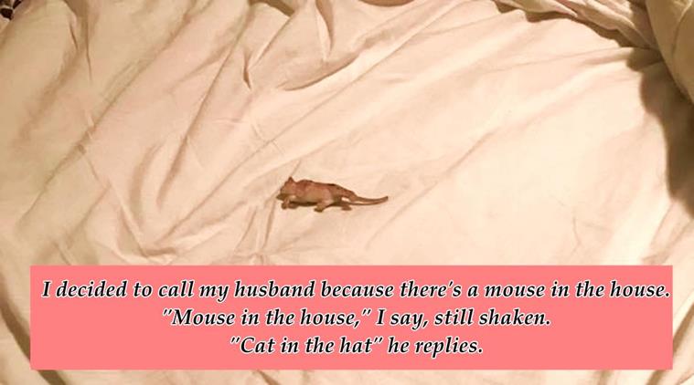 This mom freaked out after spotting a MOUSE in the HOUSE, but the twist ...