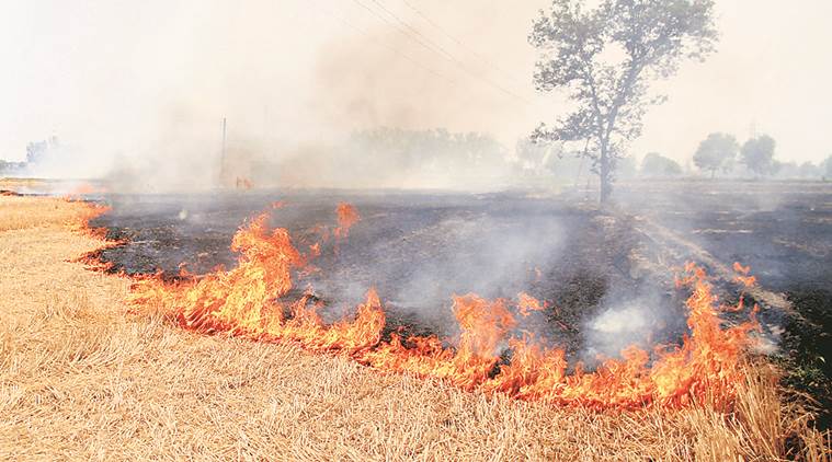 Stubble burning: Punjab’s Taran Taran, Firozpur, Faridkot districts ...