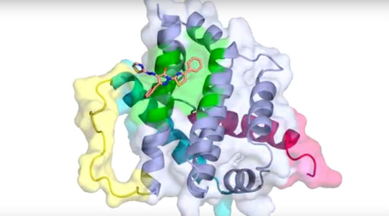 New compound developed, which can force cancer cells to self-destruct
