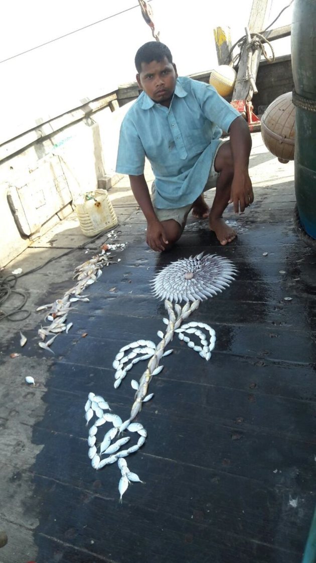 LOVE FISH? Then you must check out these spectacular FISH RANGOLI ...