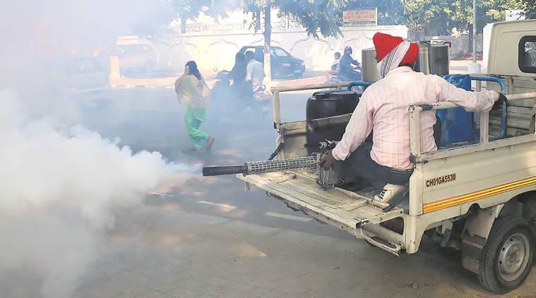 Chandigarh Municipal Corporation mulls taking over malaria wing | The ...