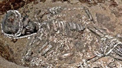 How Do Humans Mate In Bed