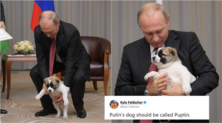 Photos of Vladimir Putin with puppy, gifted by Turkmenistan president ...