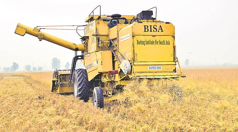 Despite govt push, Super SMS makes little headway in curbing stubble ...