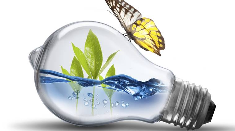 India, Egypt for increased cooperation in clean energy | World News ...