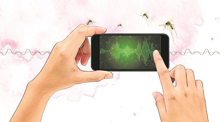 Citizens with mobiles as mosquito monitors | Technology News - The ...