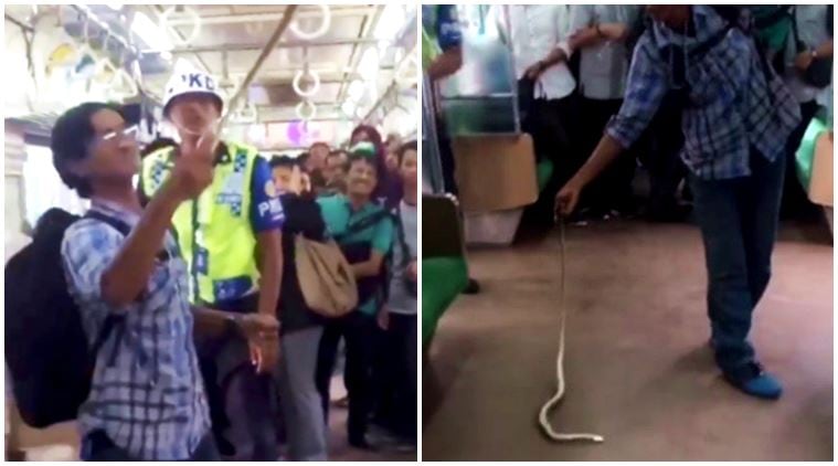 VIDEO: Snake slithers onto a busy train; fearless man kills it with ...