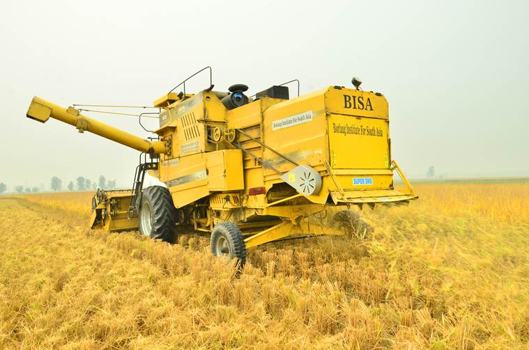 Despite large promotion, Super SMS fails to check stubble burning ...